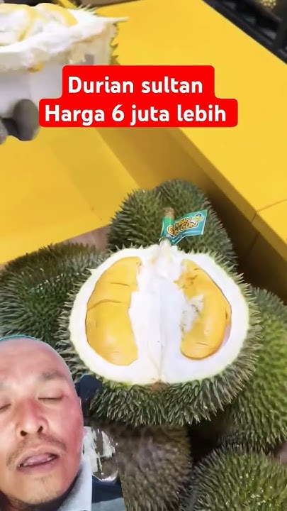 Durian sultan harga 6 juta #durian#fruit #durianlover #food #masduren#shortvideo #shorts #viral ...
