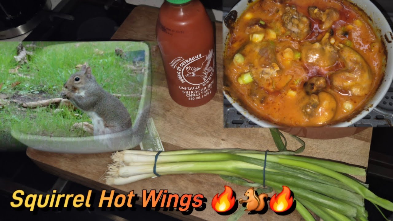 Squirrel Hot Wings - YouTube