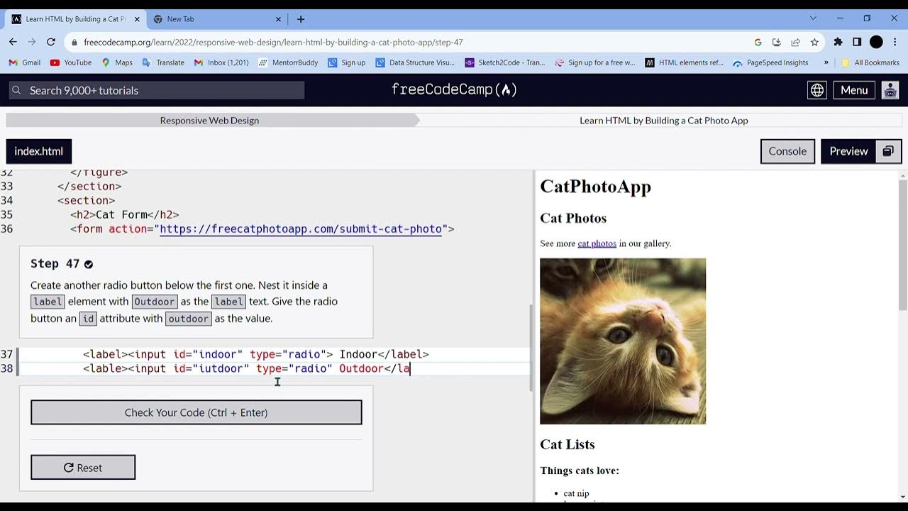 Learn HTML by Building a Cat Photo App Step - 47 || freeCodeCamp - YouTube