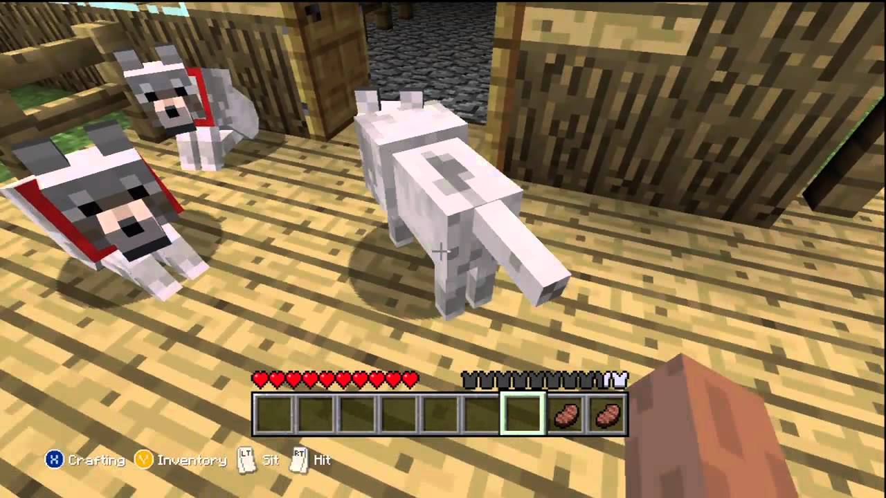 How to heal your dogs on Minecraft 360? - YouTube