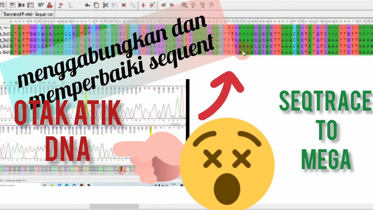 otak atik DNA menggabungkan sequents mengunakan seqTrace dan MEGA - YouTube