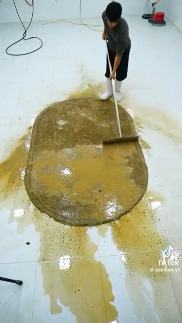 Satisfying Carpet Cleaning Transformation 🧼 #transformation # ...