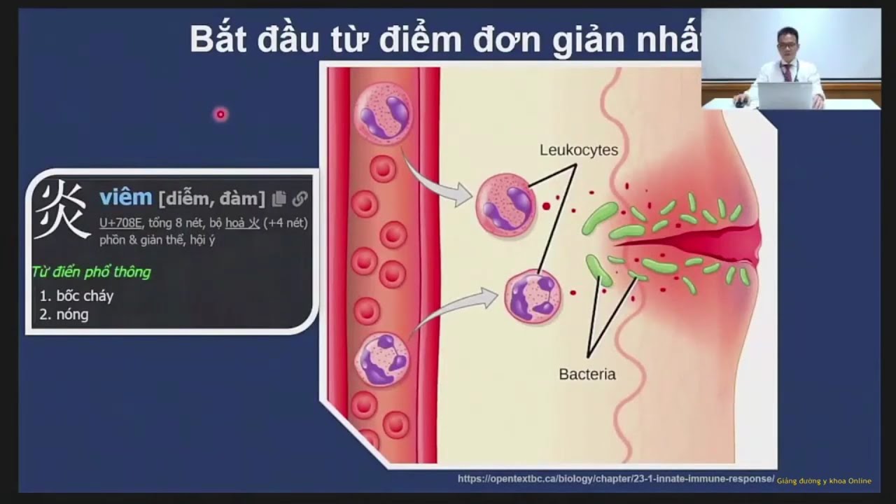 Miễn dịch bẩm sinh và bão cytokine trong các bệnh lý đáp ứng viêm toàn ...