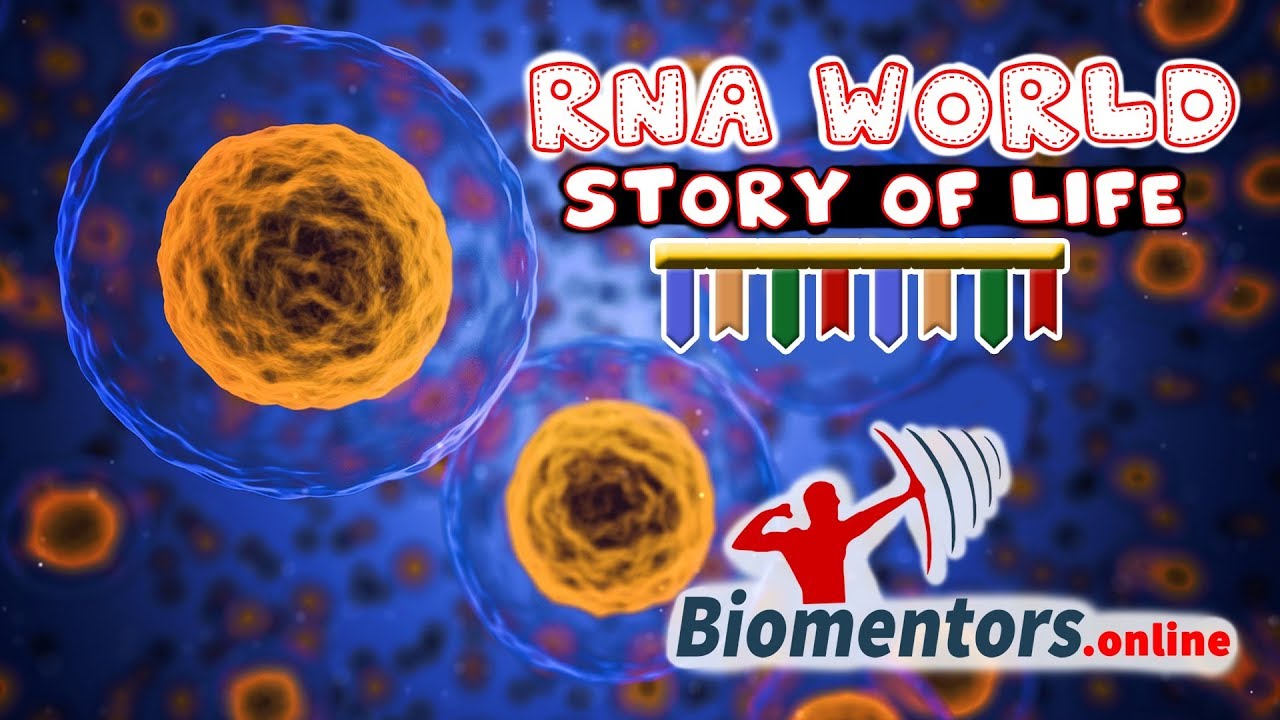 RNA और जैव विकास की कहानी (Story of RNA World & Evolution) - YouTube
