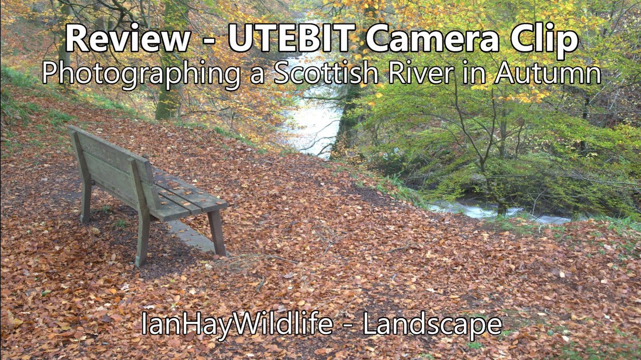 Review - Utebit Camera Clip on an Autumn Scottish River #peakdesign # ...