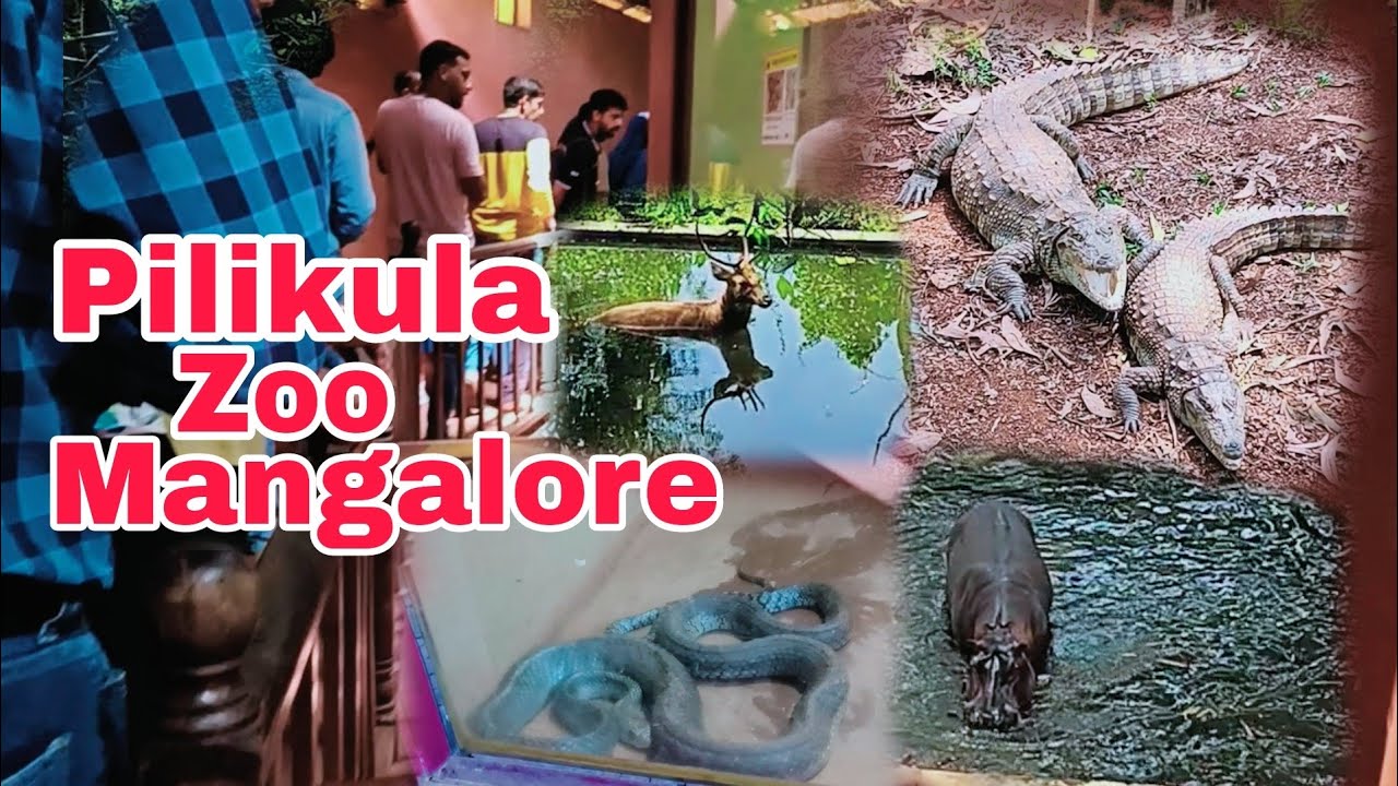 Pilikula Biological Park Zoo🐊🐍 Vlogs Mangalore | Best place to ...