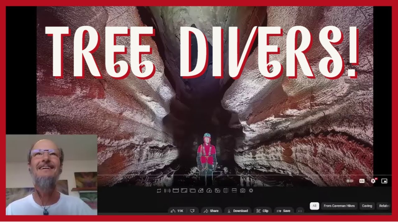 TREE DIVERS! - YouTube