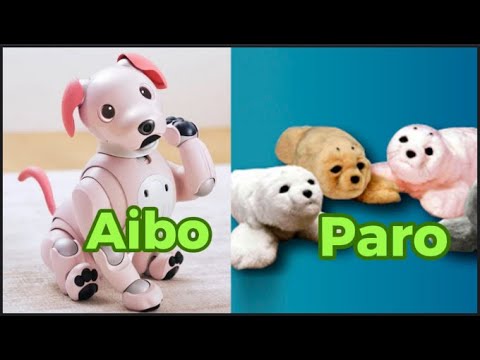 Aibo vs Paro robots, who is the best? - YouTube
