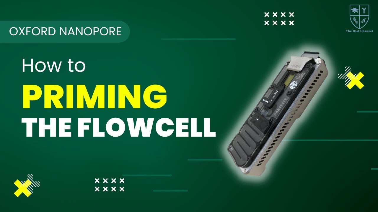 NANOPORE MINION - HOW TO PRIMING THE FLOW CELL - YouTube