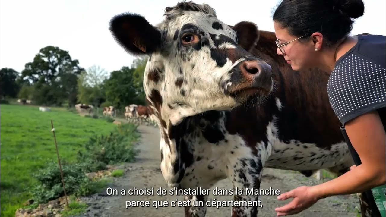 Découvrez le métier d'éleveur laitier - YouTube