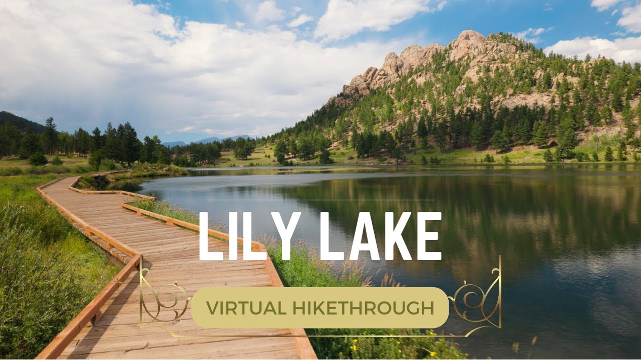 Lily Lake | Virtual Hike | 4K Immersive Relaxation - YouTube