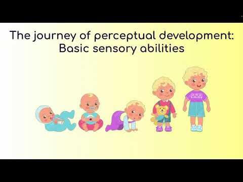 PERCEPTUAL DEVELOPMENT - BASIC SENSORY ABILITIES - YouTube