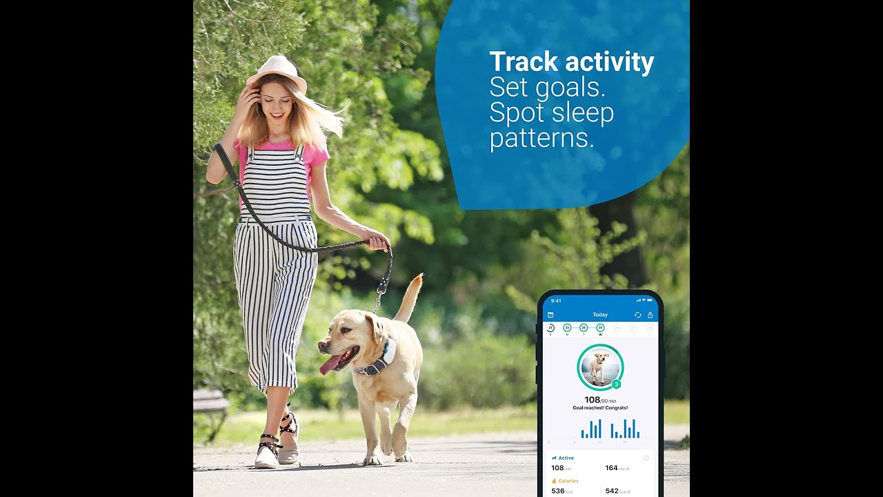 Amazoncom Tractive GPS Tracker for Dogs Waterproof GPS Location Smart ...