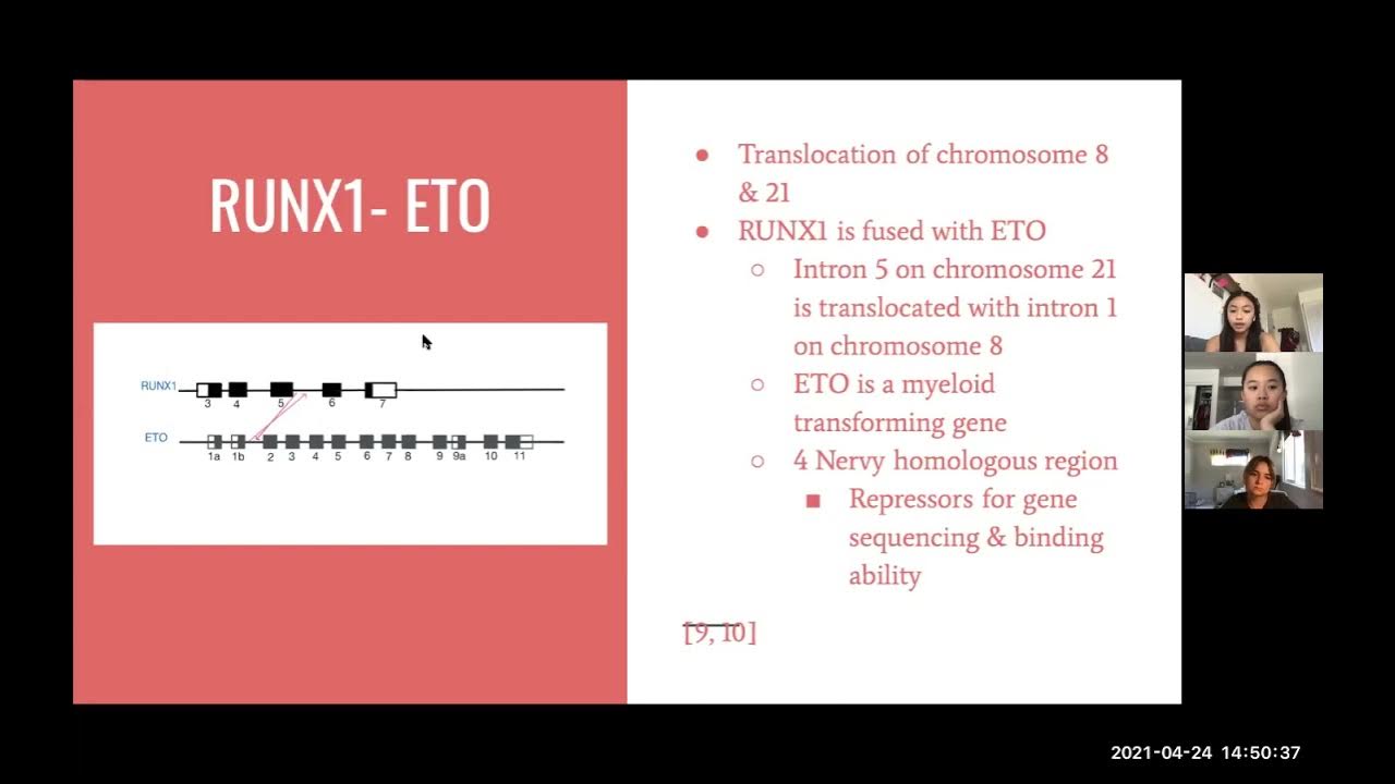 Bio 103: RUNX1- Literature Review Presention - YouTube