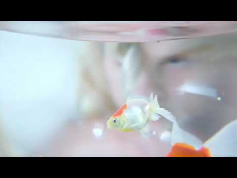 Aleyna Tilki Yeni klip (official video)
