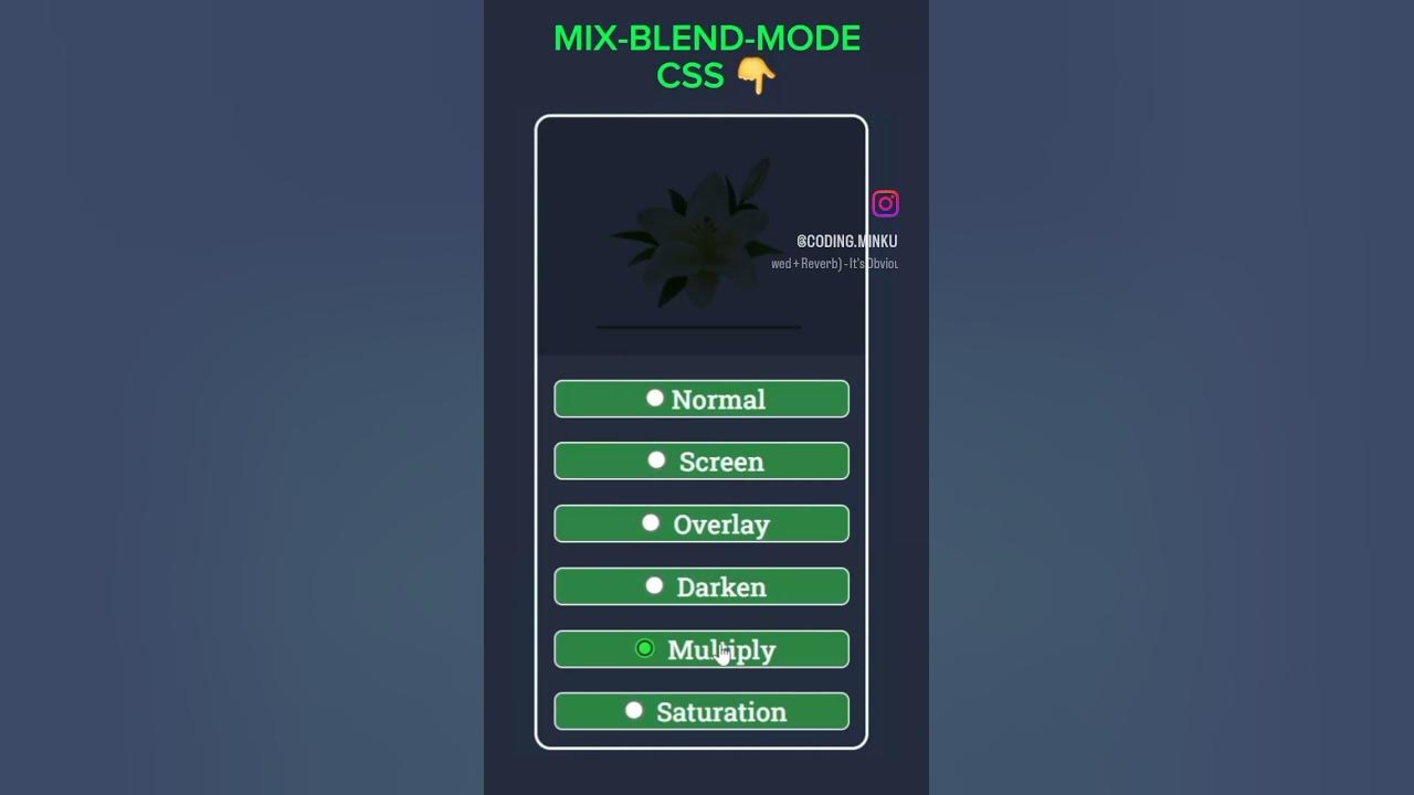 Web Design Work 🔥l Reelshtml Css Shortvideo Reels Coding Trending Codinglover Status 