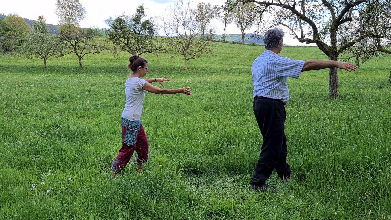 Tai Chi Yang-Stil Kurzform 12 - Komplette Form - YouTube