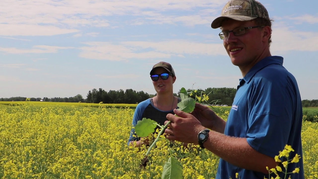 Lakeland College | Student-Managed Farm - Powered by New Holland 30th ...