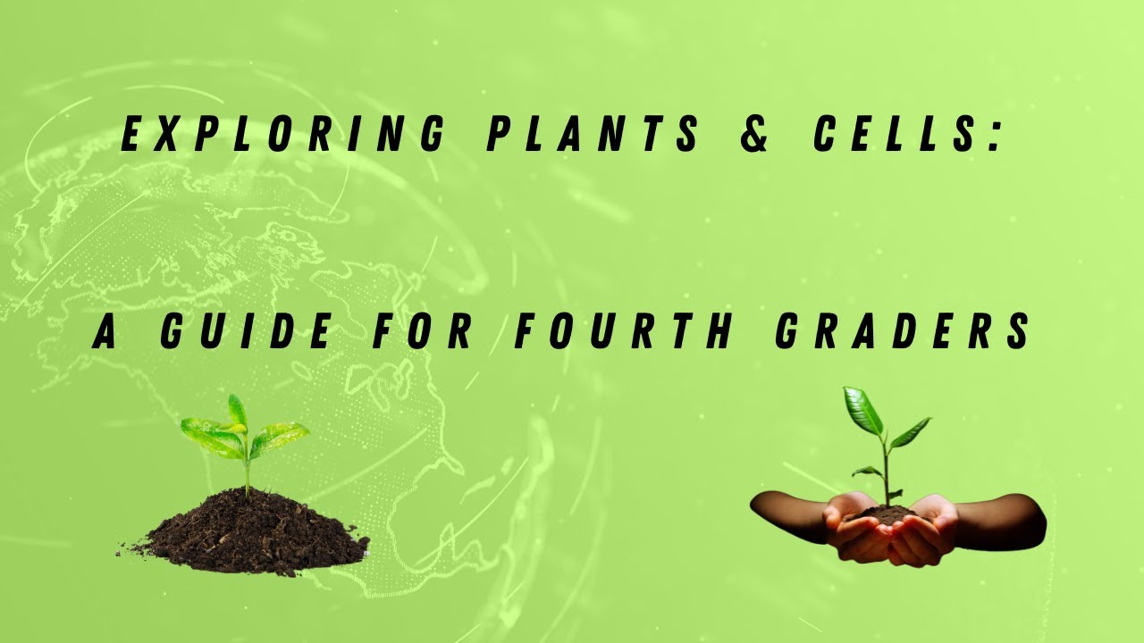 Exploring Plants and Cells: Life Science for 4th Graders - YouTube