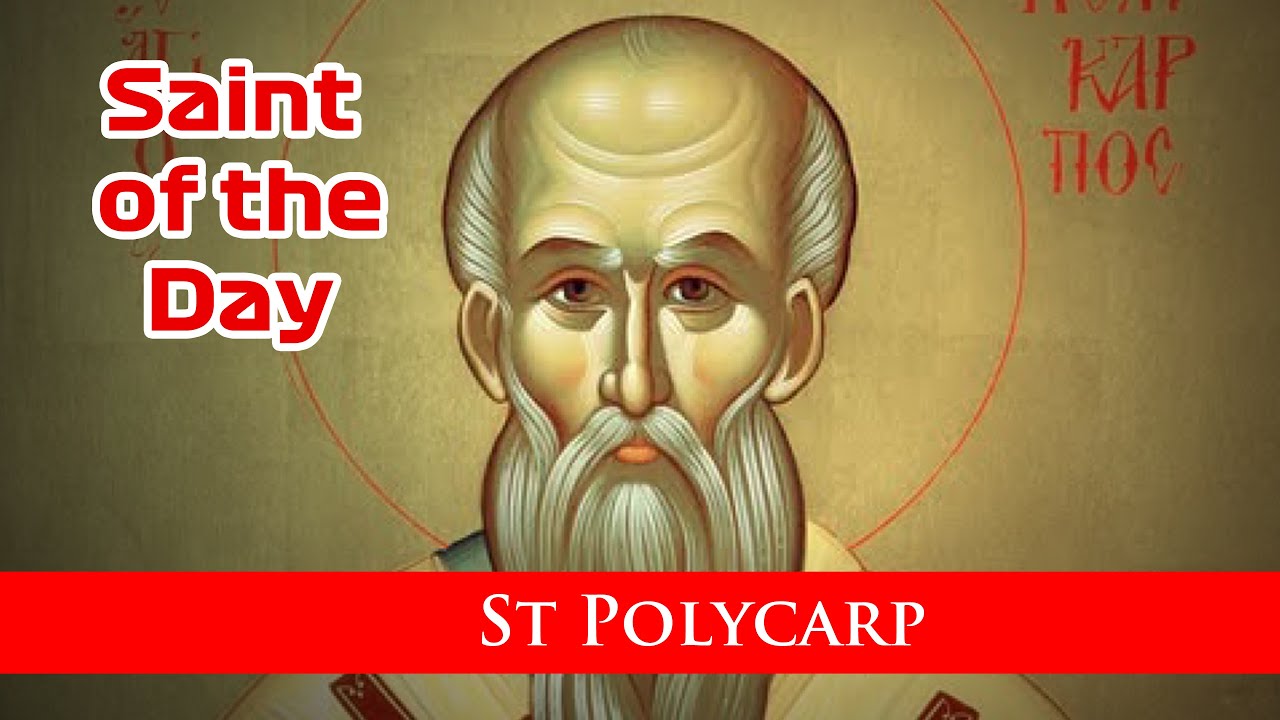 St Polycarp - Saint of the Day with Fr Lindsay - 23 February 2024 - YouTube