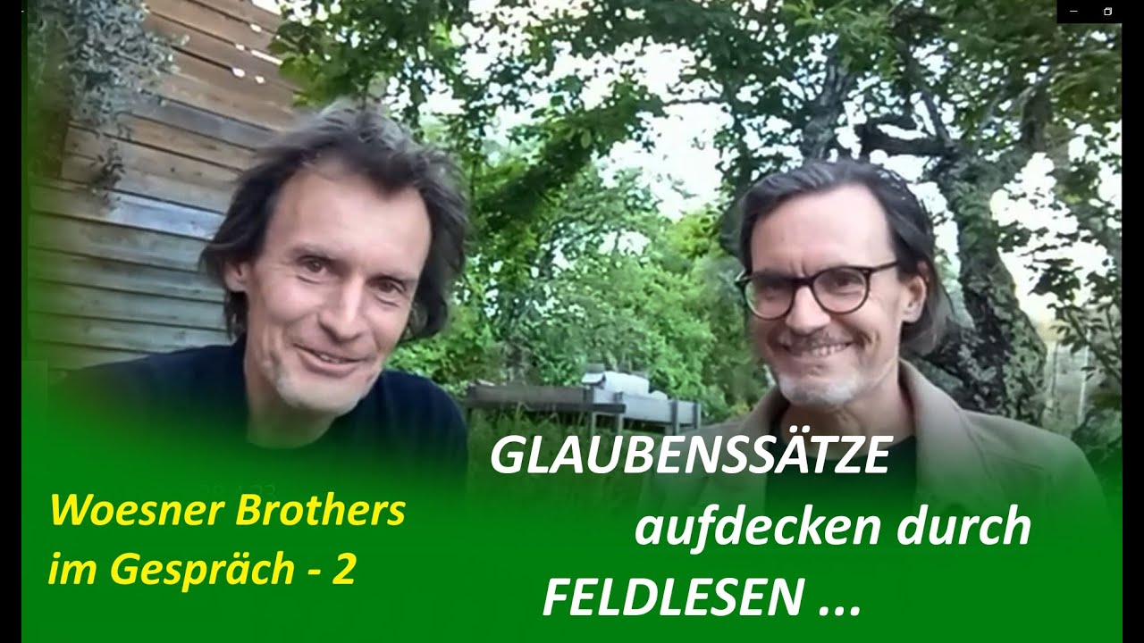 Versteckte Glaubenssätze aufdecken durch Feldlesen - Woesner Brothers ...