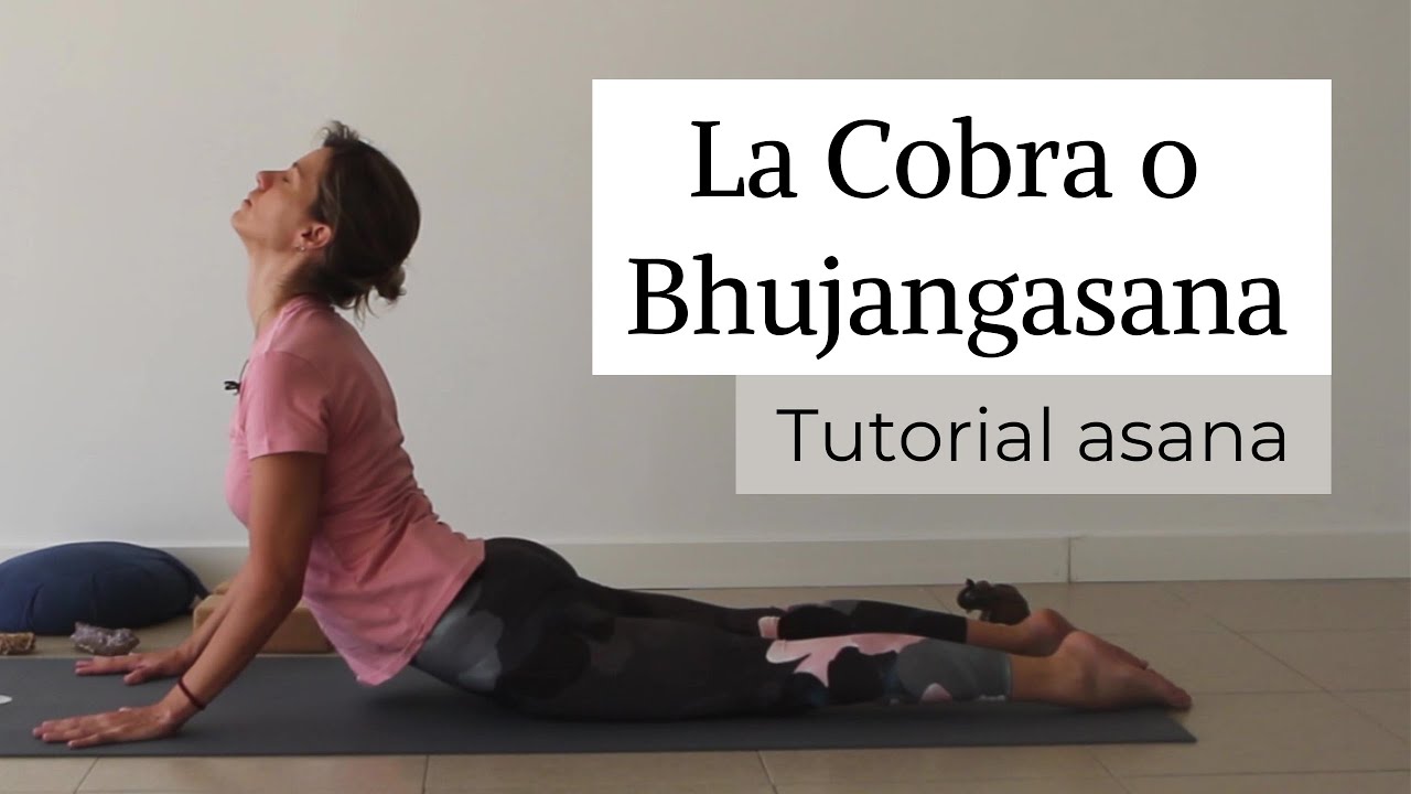 Tutorial La Cobra o Bhujangasana - YouTube