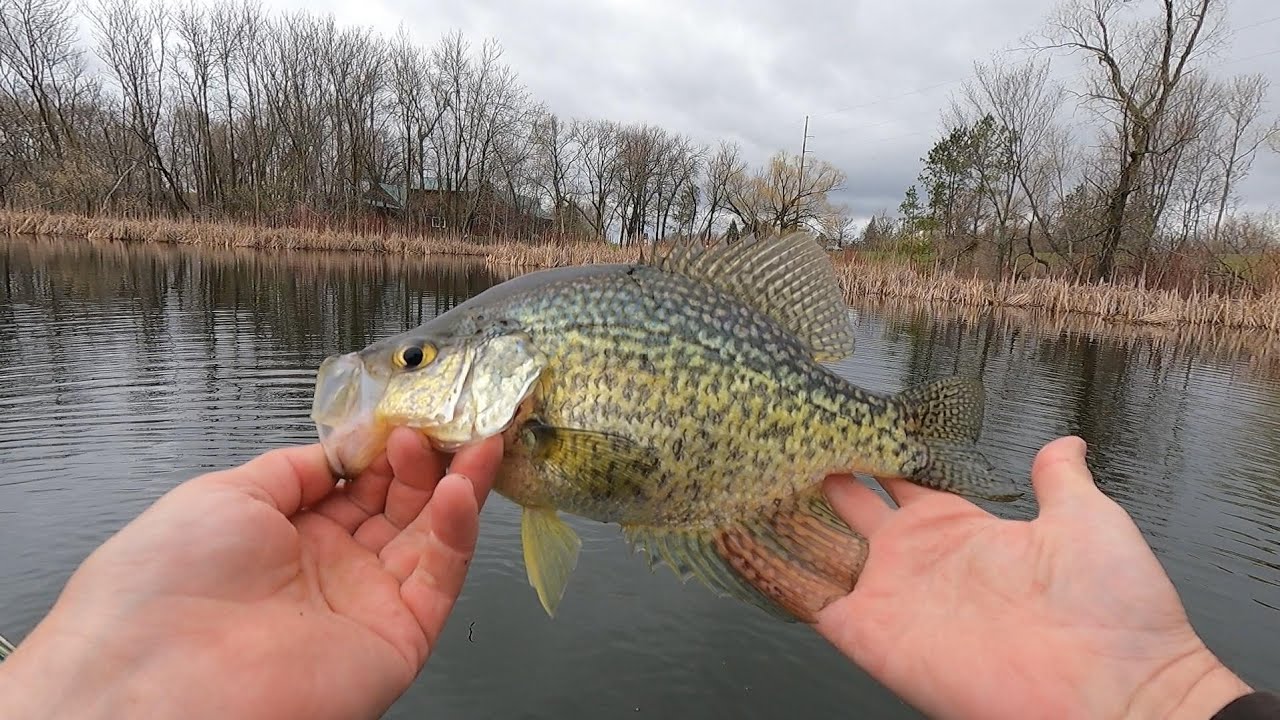 Targeting Spring Crappies on the Simplest Setup - YouTube