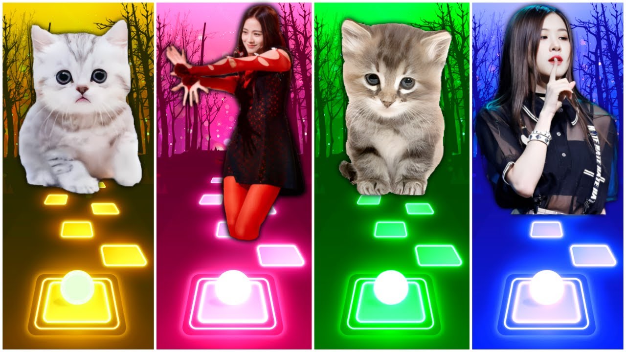 CUTE CAT JISOO FLOWER 🆚 BLACKPINK JISOO FLOWER 🆚 CUTE CAT FIFTY FIFTY ...