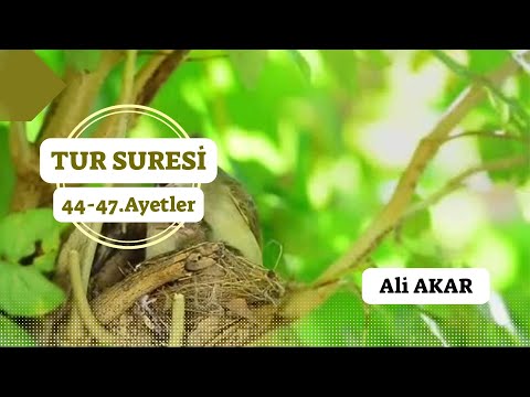 Tur Suresi: 44 - 47.Ayetler | Ali AKAR || Tefsir Dersleri