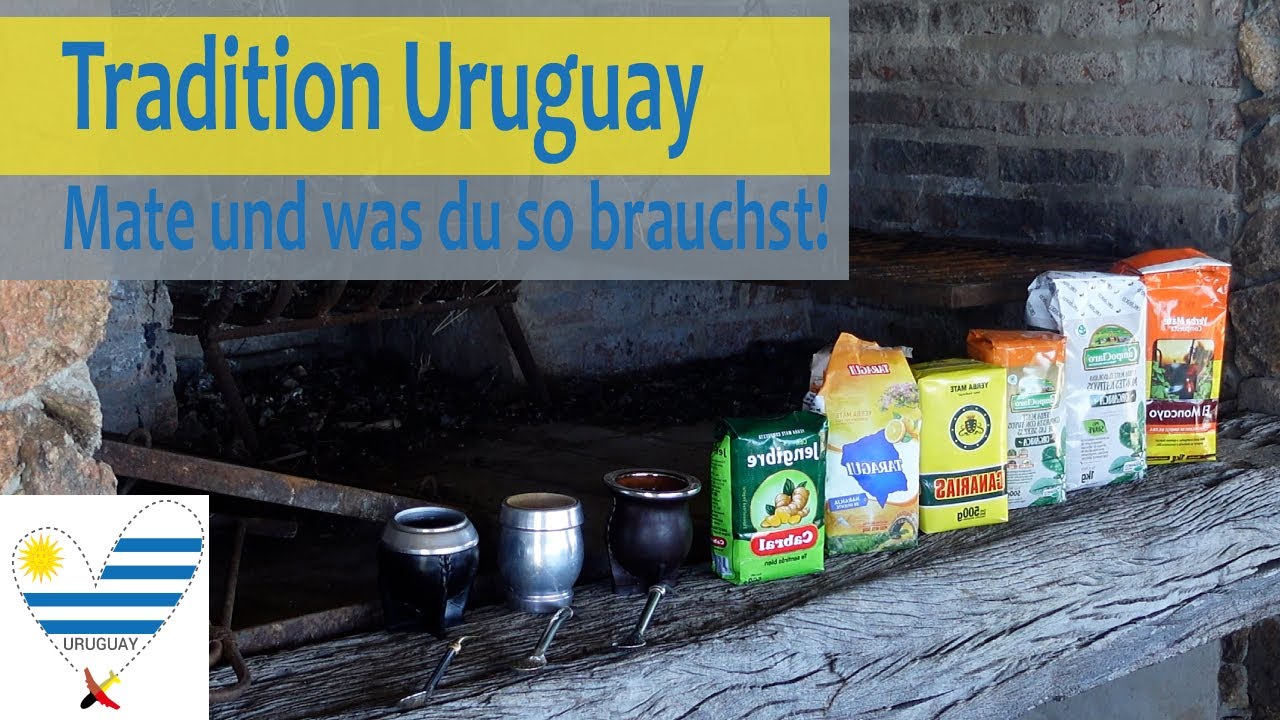 Tradition in Uruguay - Welche Yerba Mate Sorten gibt es und was man ...