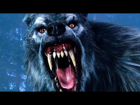 Werewolf Attack Scene - Van Helsing (2004) Movie Clip HD