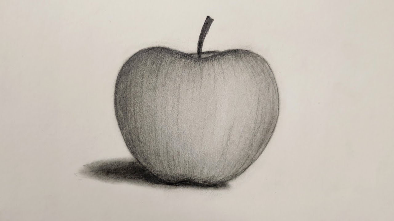 How to Draw realistic Apple with pencils | Easy tutorial for beginners ...