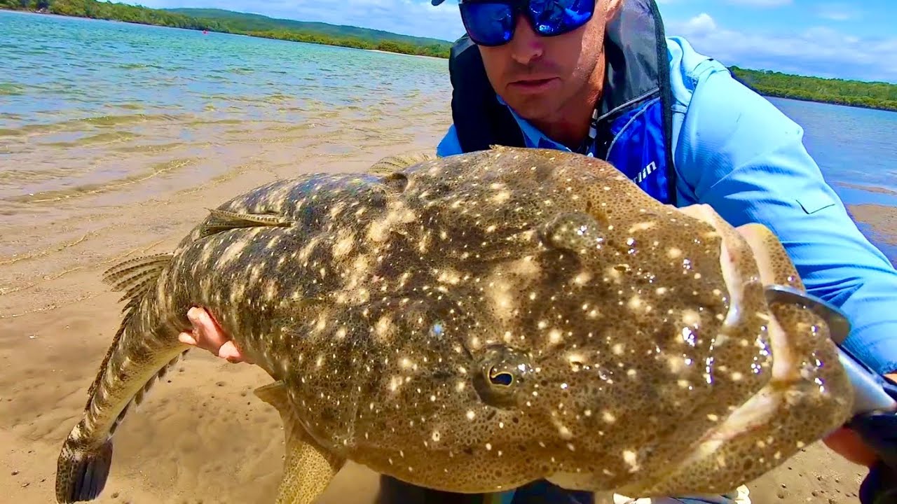 A NEW LURE FOR BIG FLATHEAD! - YouTube