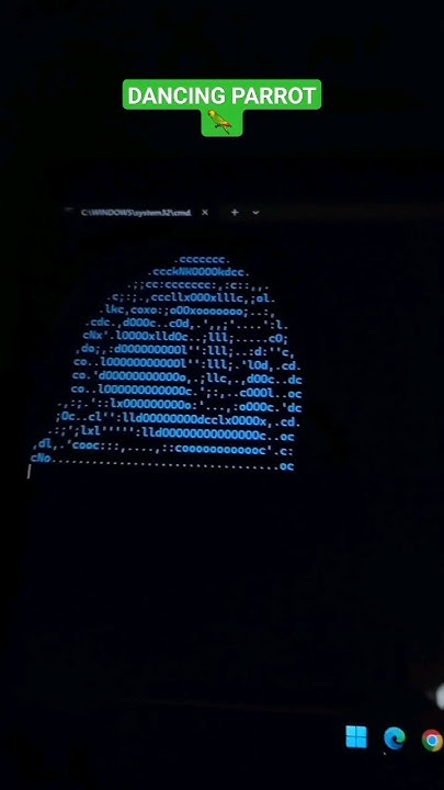 CMD HACK | Dancing Parrot 🦜 | POPAT | #cmdtricks #cmd #techtricks #parrotincmd - YouTube