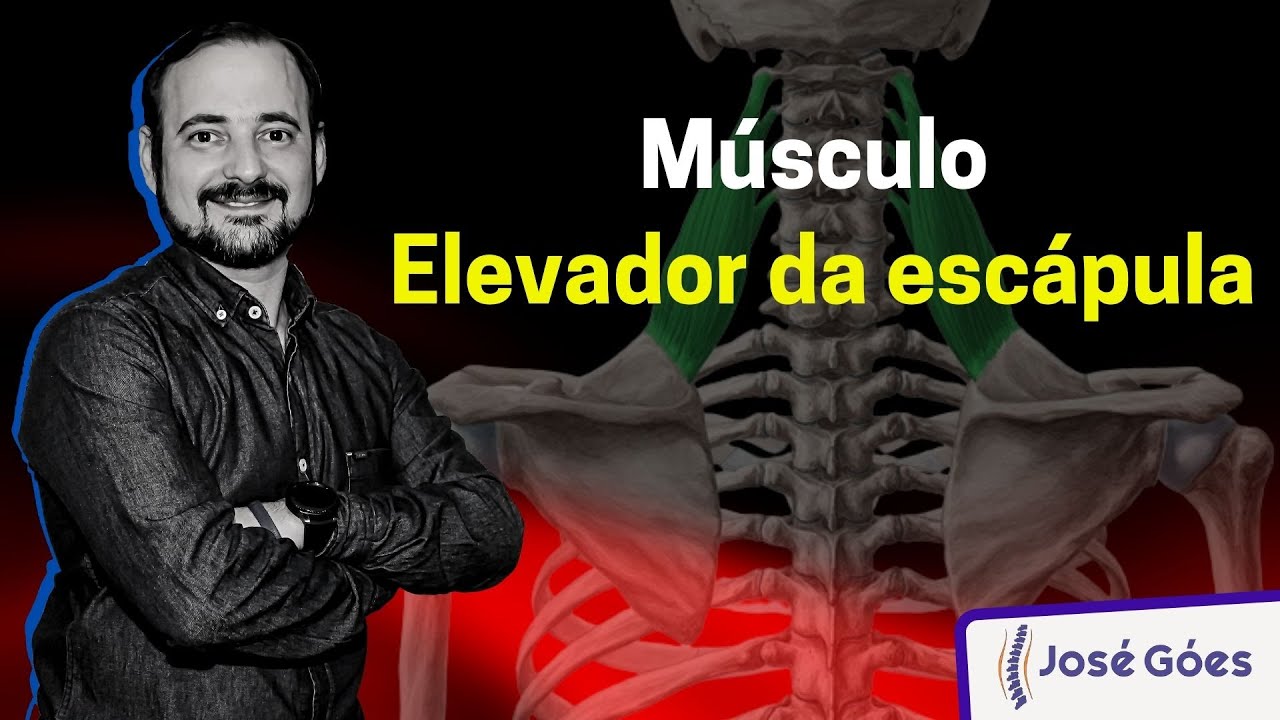 Músculo elevador da escápula | José Góes - YouTube