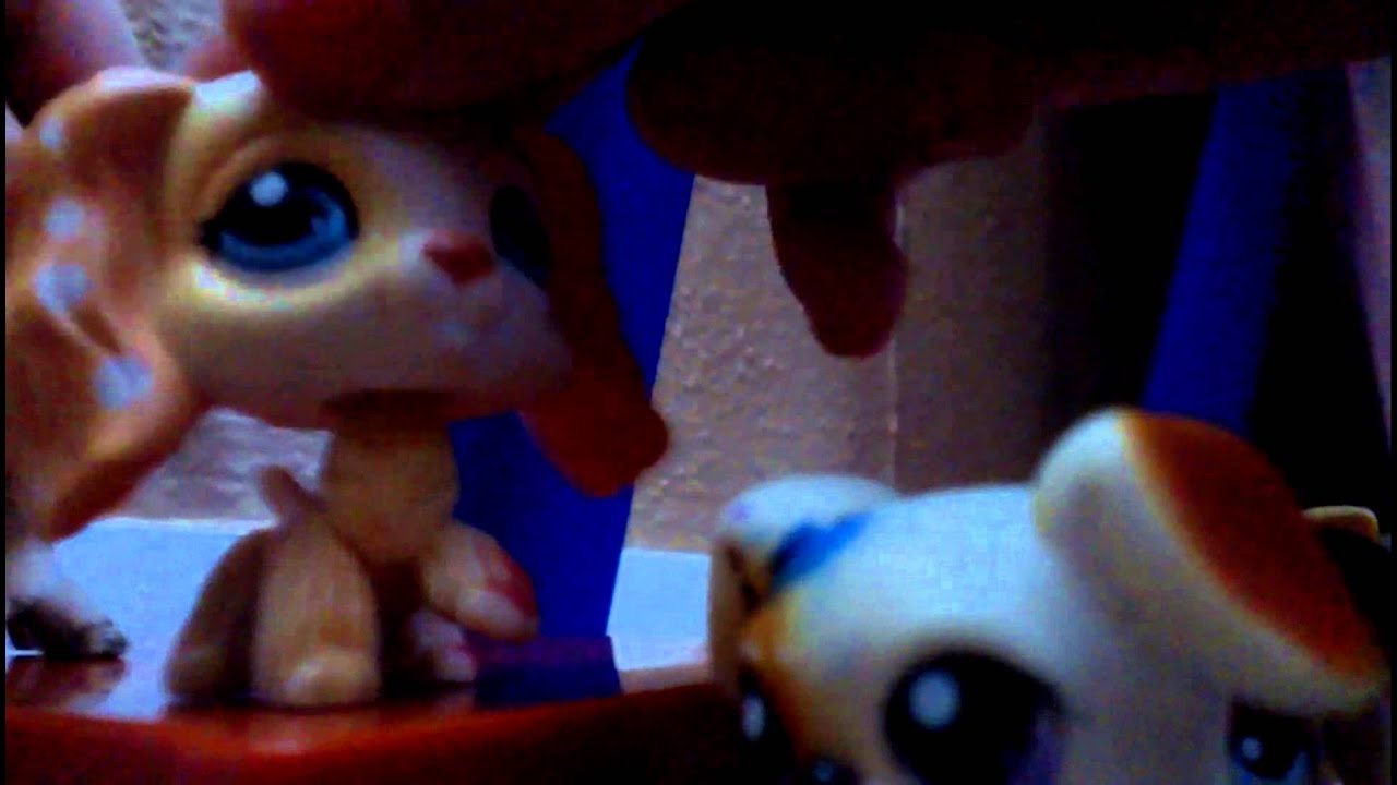 Lps vs mlp - YouTube