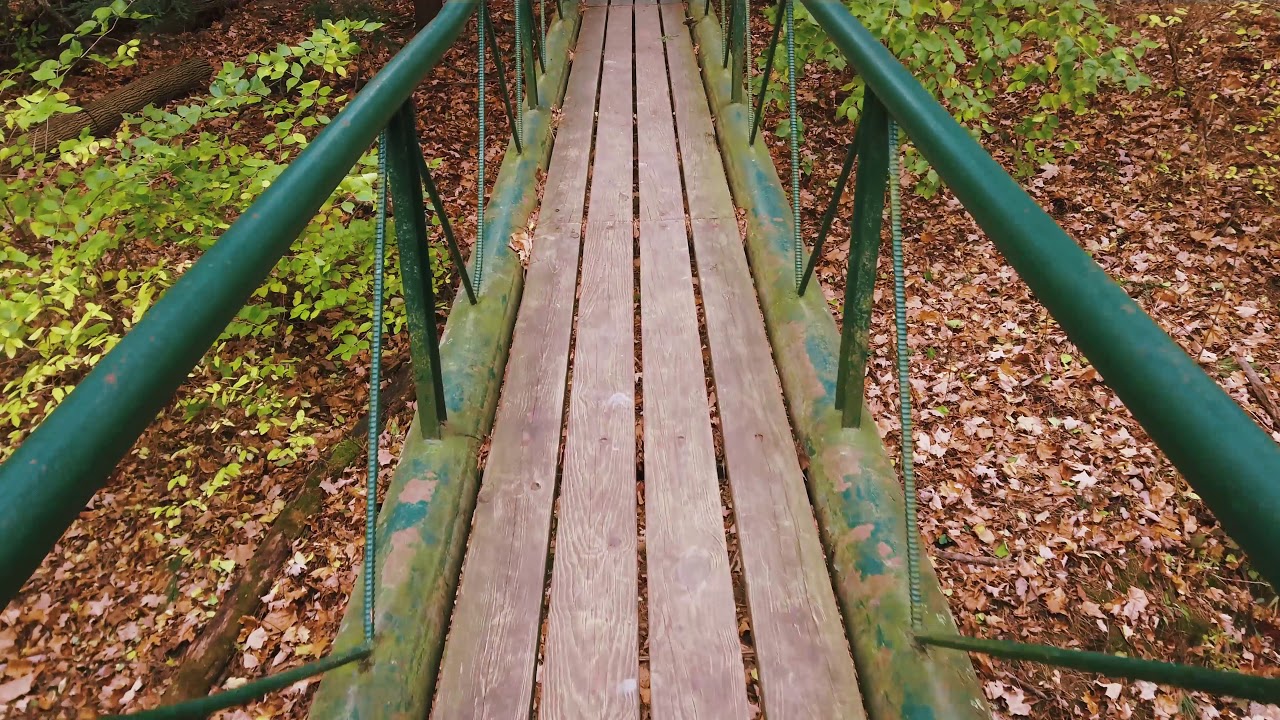 Findley Lake Loop, Findley State Park, Wellington, Ohio - YouTube