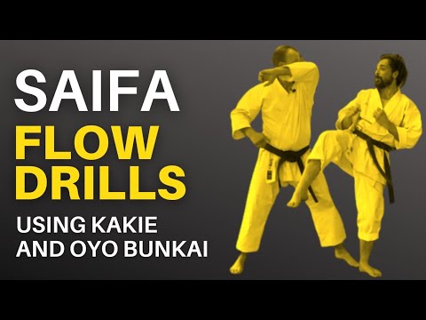Saifa Flow Drill for Karate - marrying kakie and bunkai - YouTube