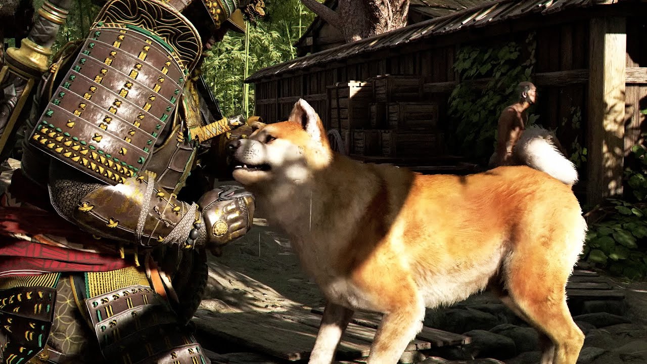 The most important and beautiful thing in Assassin's Creed Shadows ...