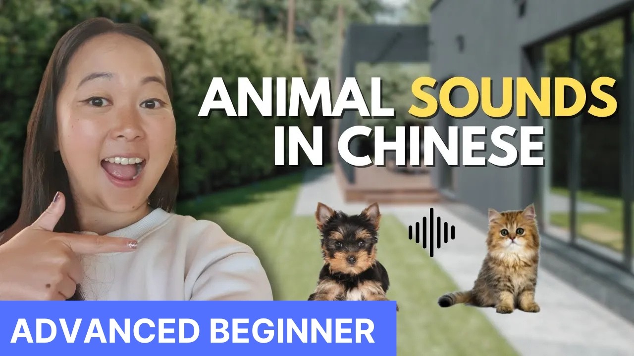 Animal sounds in Chinese - Chinese Comprehensible input - Advanced ...