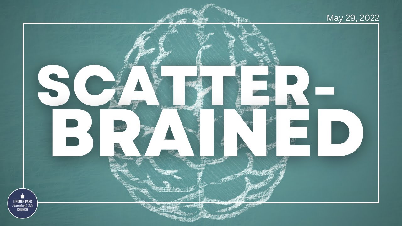 Scatter-Brained - YouTube