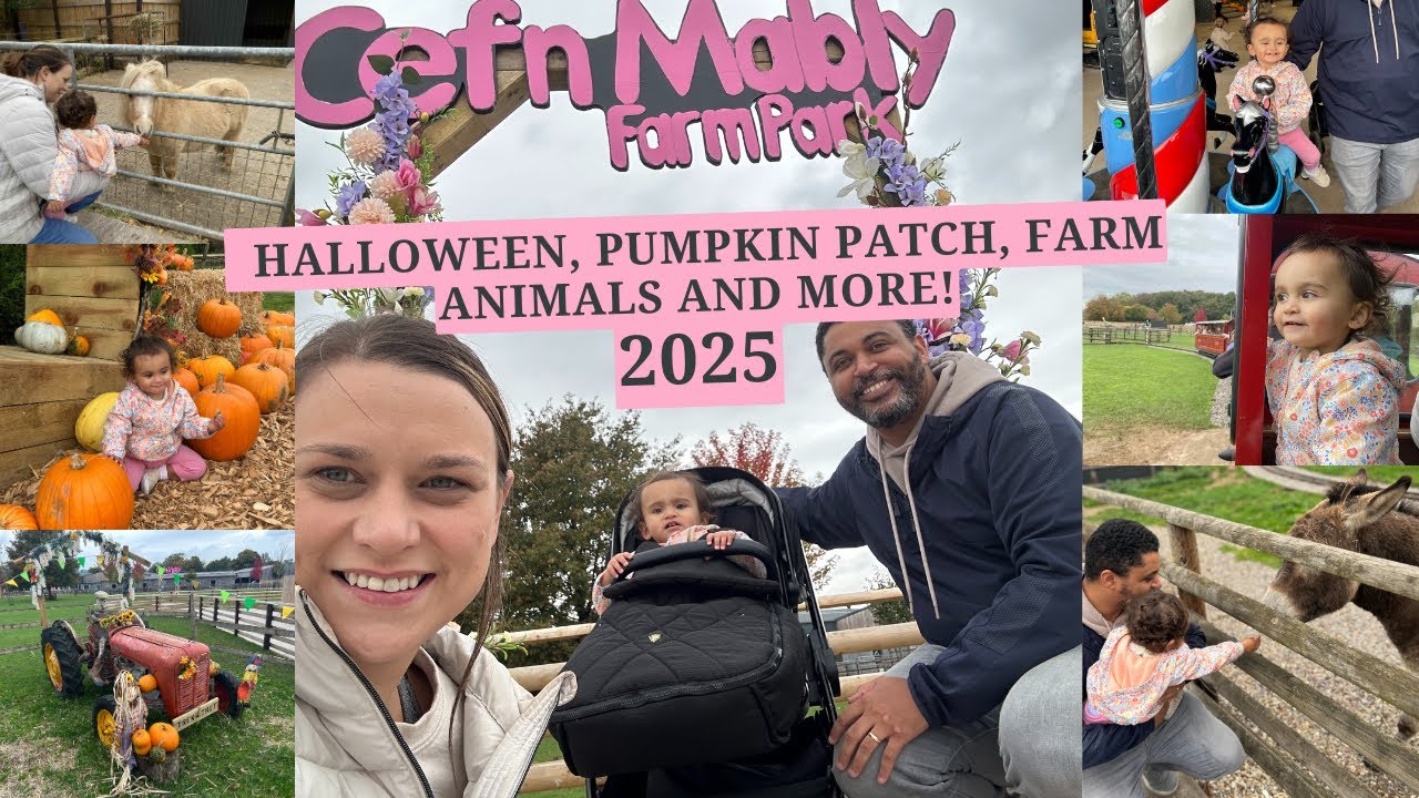 The Cutest Family Day Out at Cefn Mably Farm - Pumpkins, Animals and ...