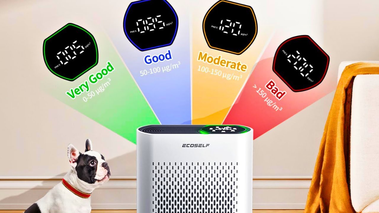 Ecoself Powerful Air Purifier | Air Purifiers for Home Large Room - YouTube