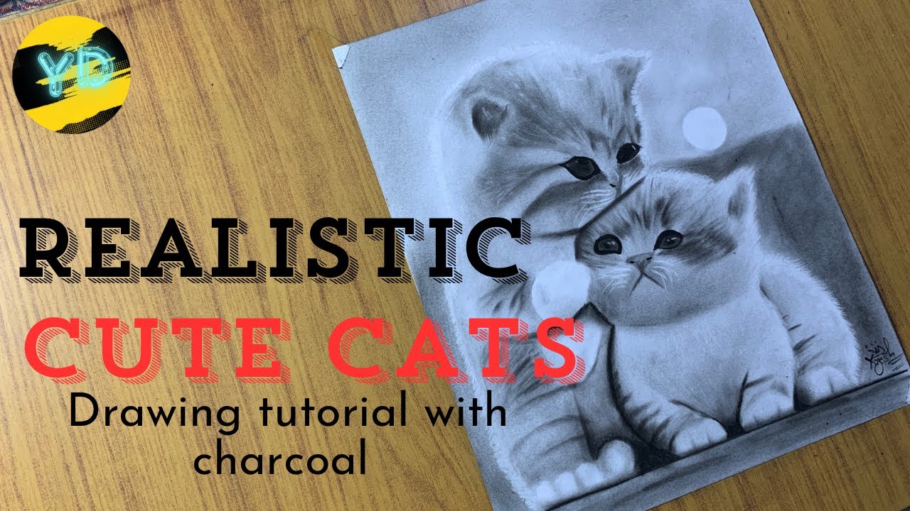 Realistic cure cats drawing tutorial | how to draw cate drawing with ...