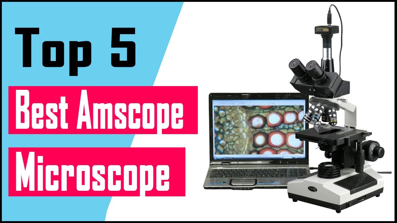 Top 5 Best Amscope Microscope Review In 2021 - YouTube