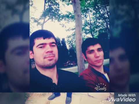 Aydın Mayilov.