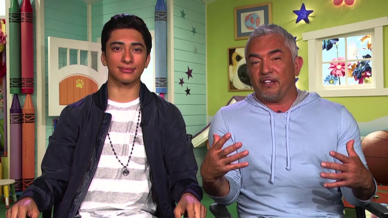 Calvin & Cesar Millan "Mutt & Stuff" Part 3 - YouTube