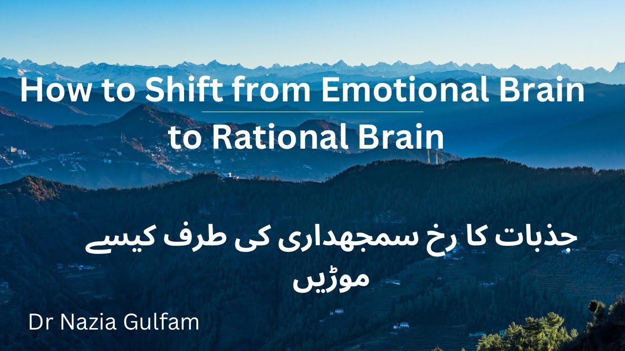 Emotional Brain vs Rational Brain/ - YouTube