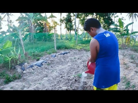 NAGDILIG SA GARDEN AT NAGPRETO NG ISDA - YouTube