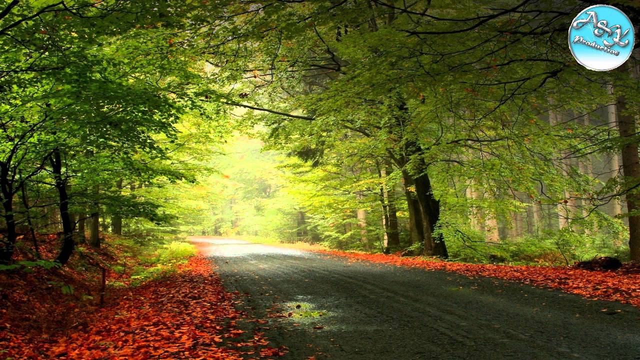 Fraţii de la Toflea - Isus Cristos este domn al domnilor - YouTube